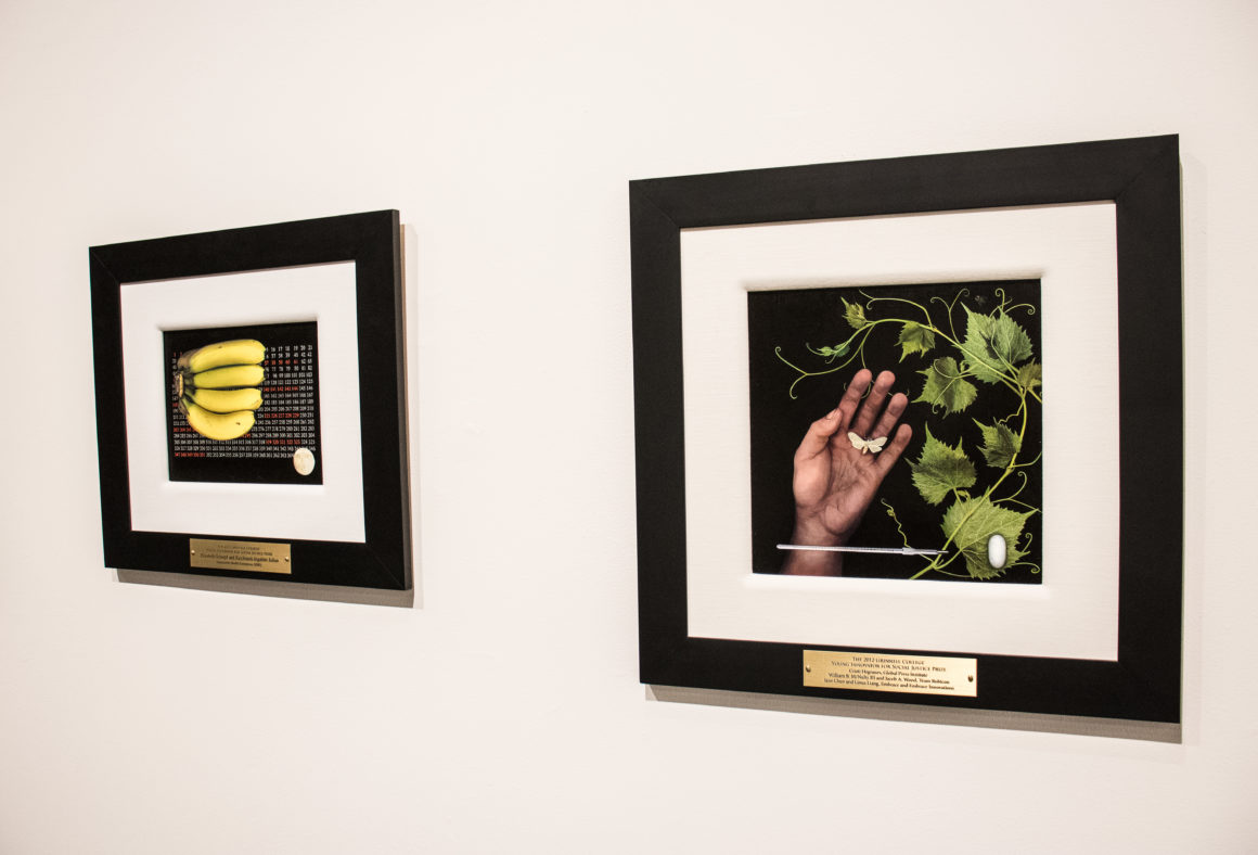 The S&B takes ‘A Closer Look’ at Tilly Woodward’s new exhibit – The ...